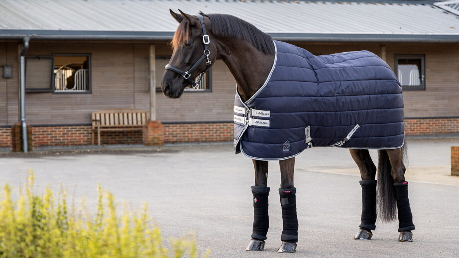 Best stable rugs for keeping your horse warm this winter | Horse & Hound