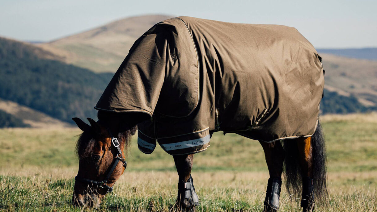 Best lightweight turnout rugs with 50–150g fill | Horse & Hound