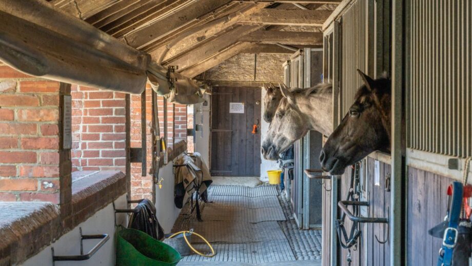 Farmhouse with gallops, arena and more | Horse & Hound