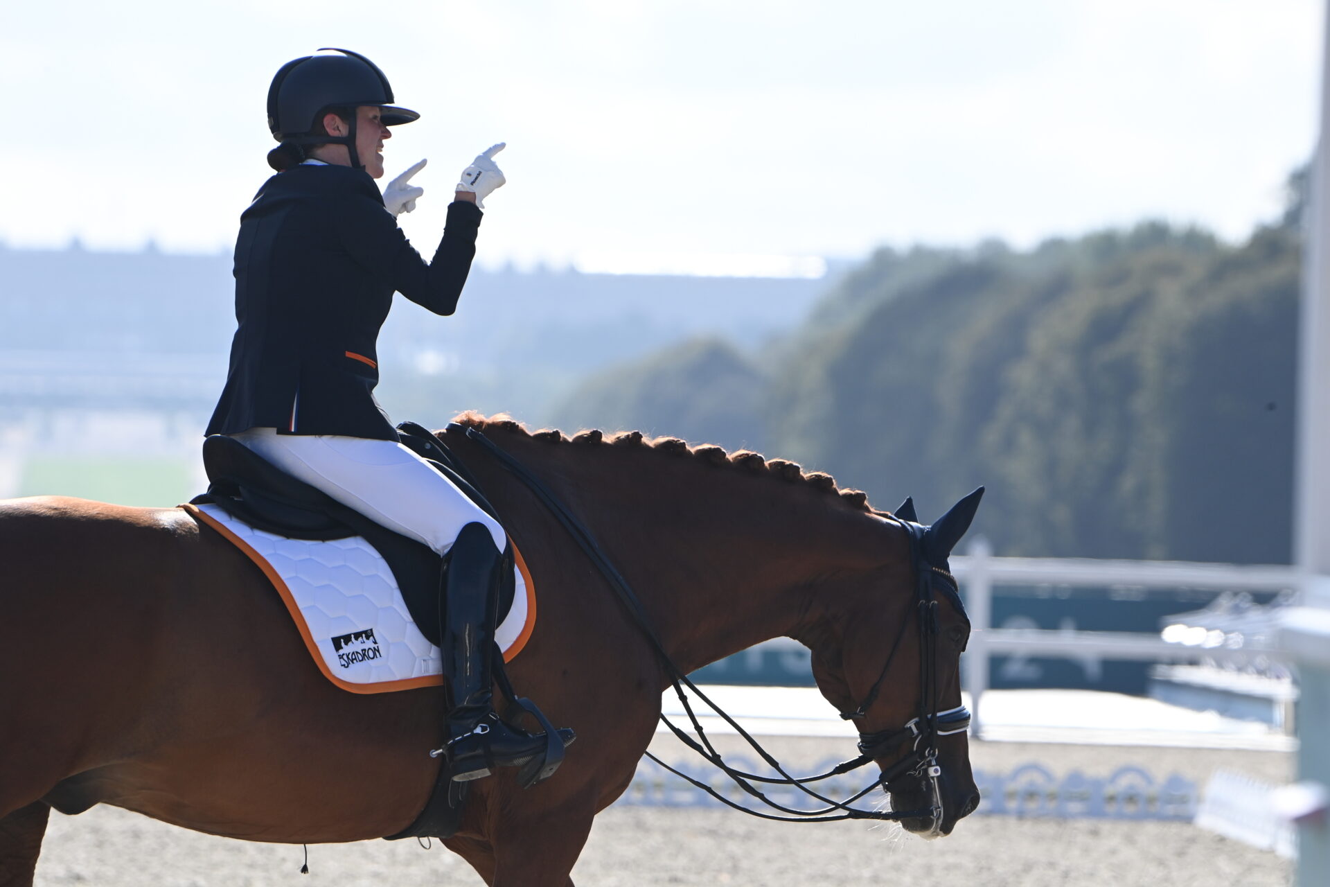 Sanne Voets wins para dressage individual silver at Paris Paralympics