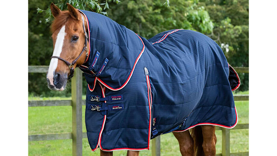 Best stable rugs for keeping your horse warm this winter | Horse & Hound