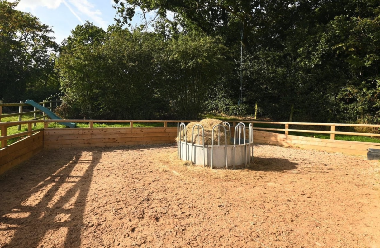 A horsey home with a beautiful barn, arena and more | Horse & Hound