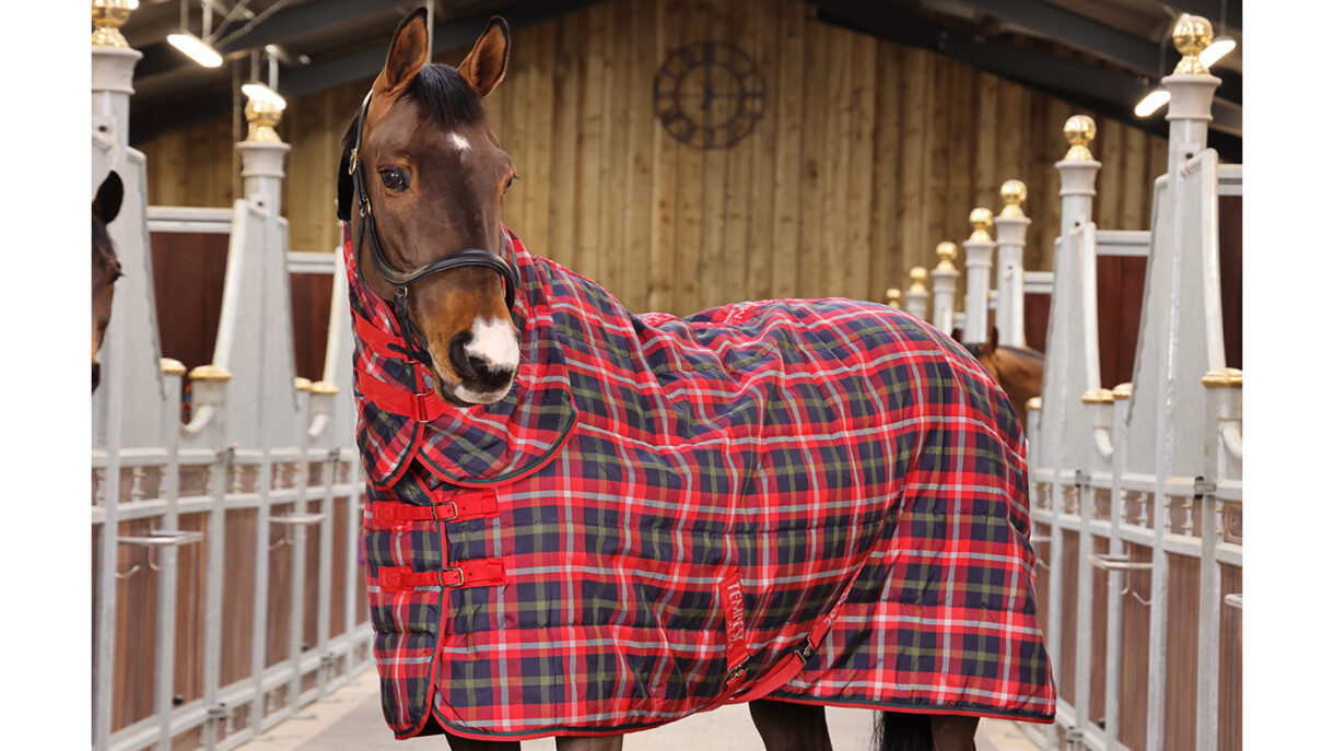 Best stable rugs for keeping your horse warm this winter | Horse & Hound