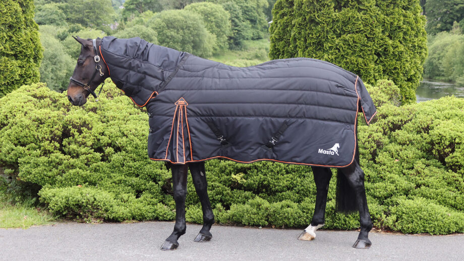 Best stable rugs for keeping your horse warm this winter | Horse & Hound