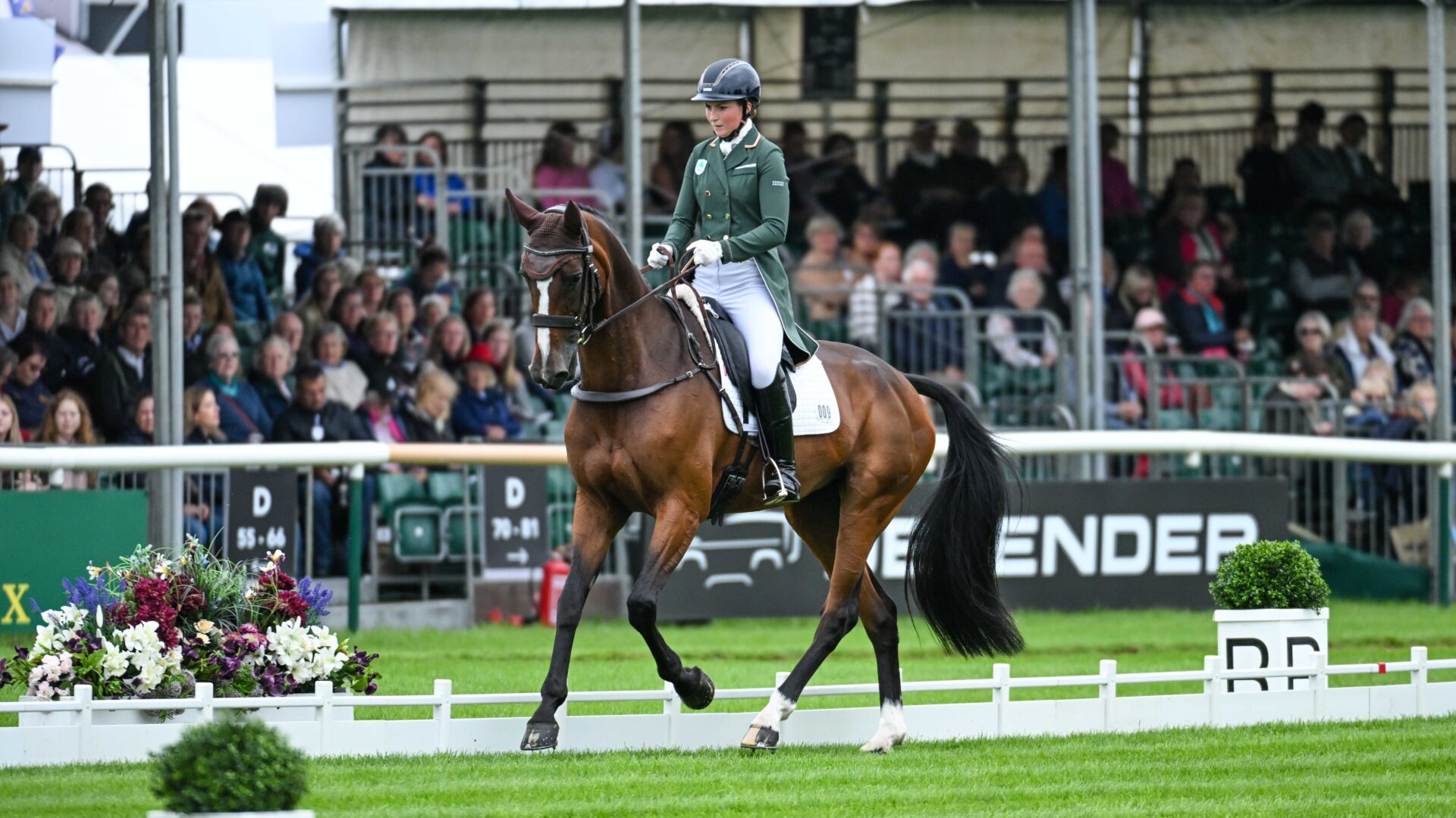 Meet Irene Leva, the mare Susie Berry rides at Burghley Horse Trials