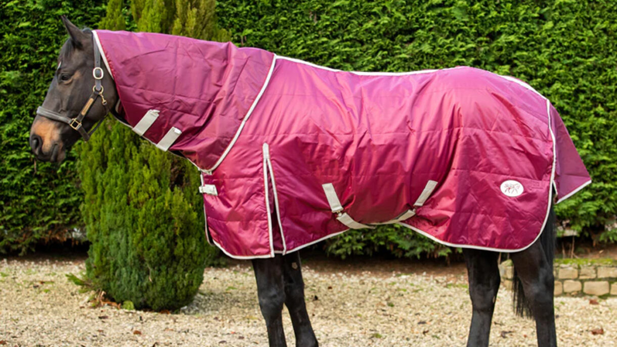Best stable rugs for keeping your horse warm this winter | Horse & Hound