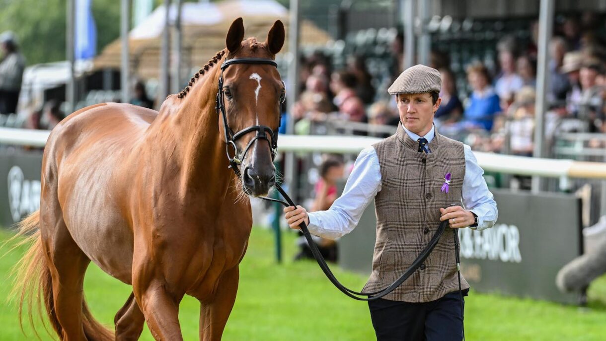 Burghley trot-up – see what riders wore at the first veterinary inspection