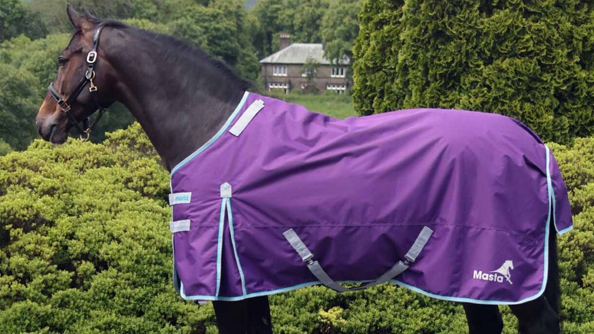 Best lightweight turnout rugs with 50–150g fill | Horse & Hound