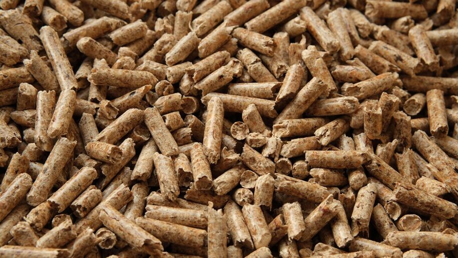 Best horse bedding – and how to make the right choice | Horse & Hound