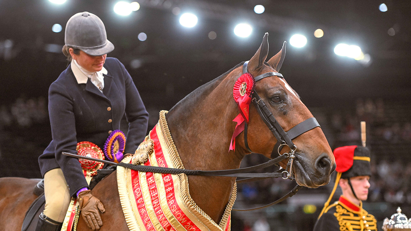 HOYS 2024 maxi cob of the year winner - Horse & Hound