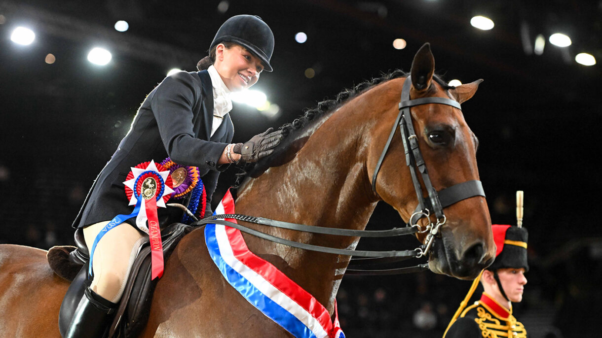HOYS 2024 small show hunter winner - Horse & Hound