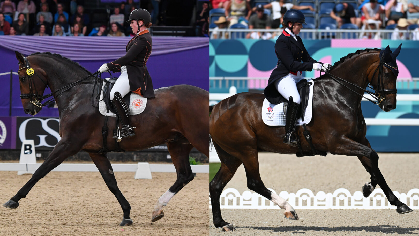 From Dressage Future Elite championship to Olympic bronze medallist
