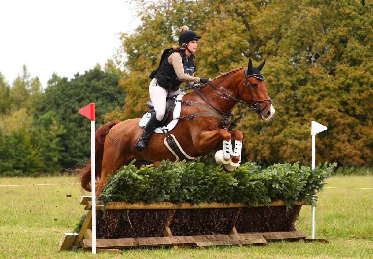 Mare ‘flies the flag’ for rescue ponies and creates ‘everlasting ...