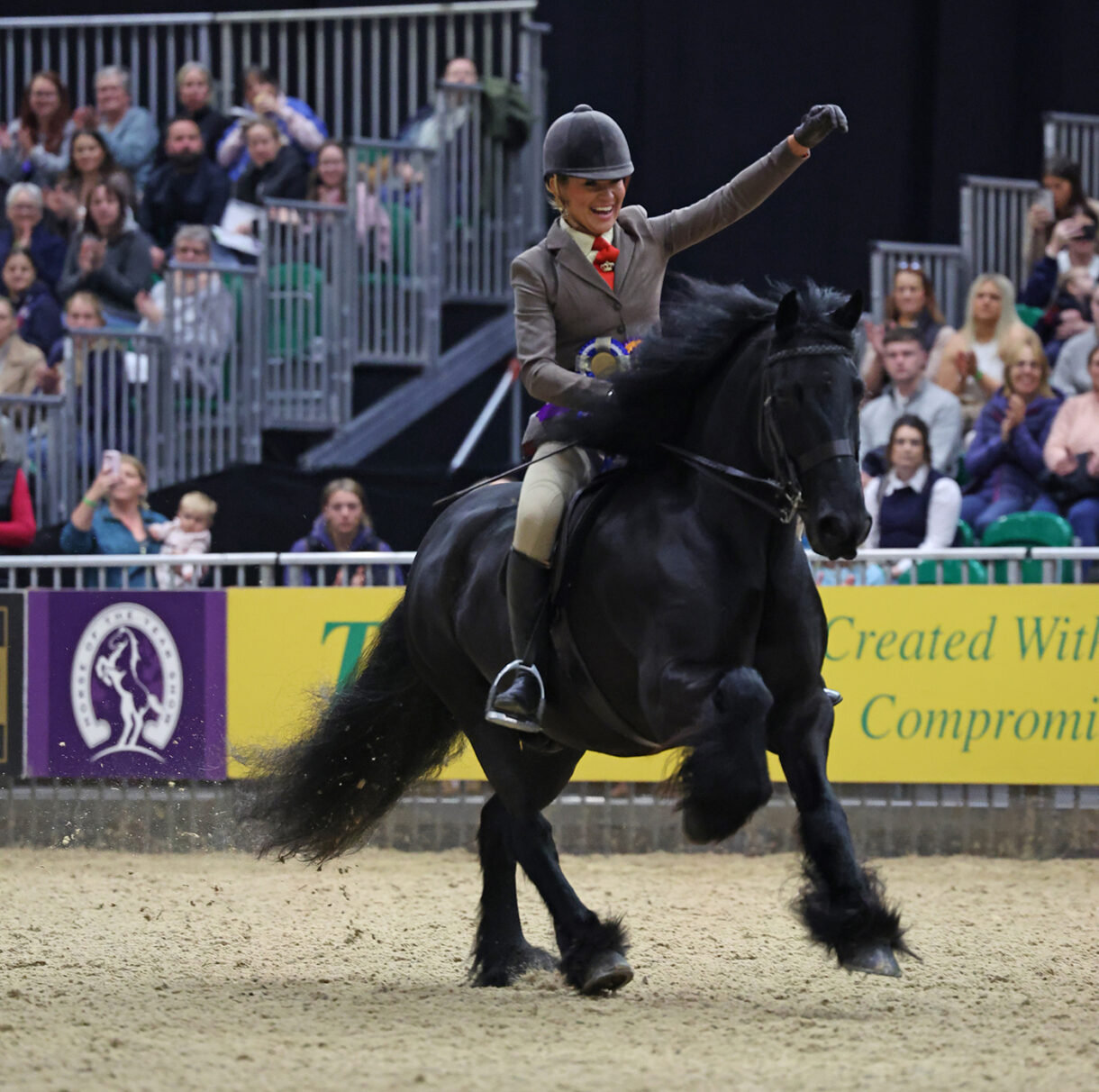 2024 HOYS Highland pony of the year results - Horse & Hound