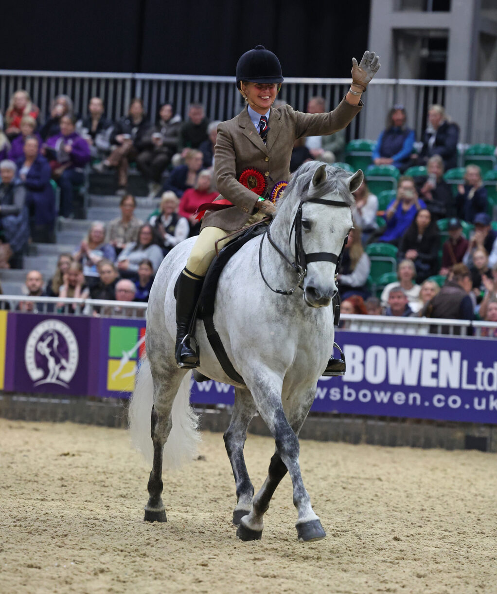 2024 HOYS working hunter of the year winner - Horse & Hound