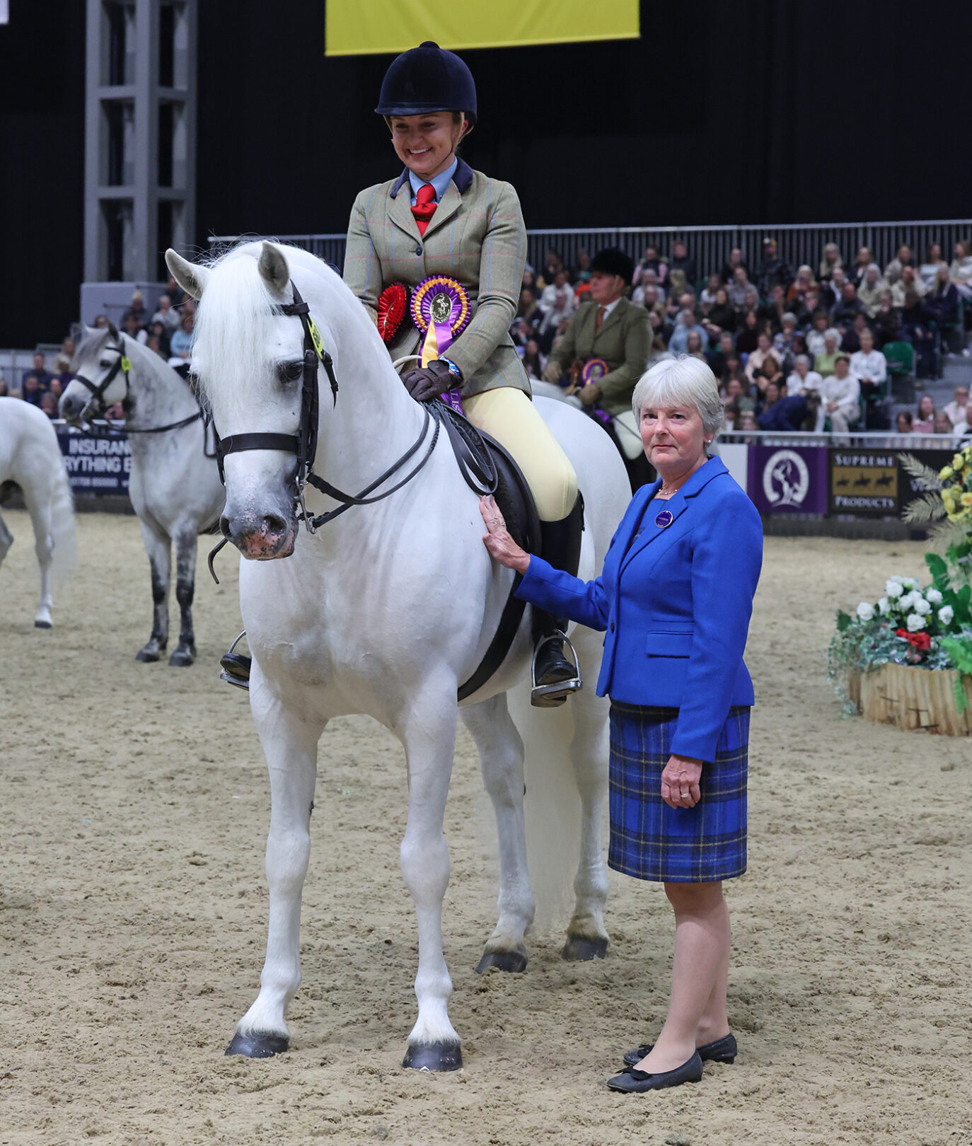 2024 HOYS M&M ridden pony of the year winner - Horse & Hound