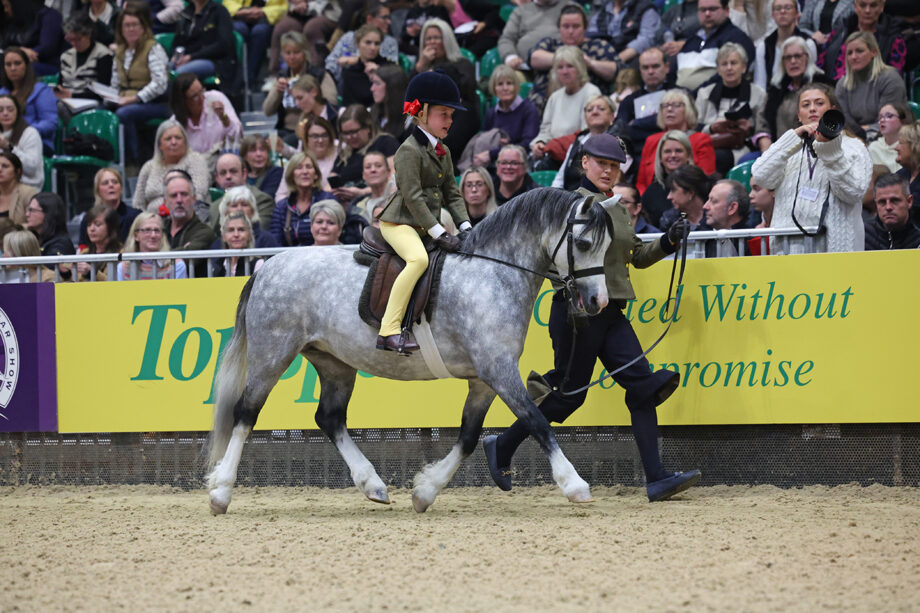 2024 HOYS mini M&M championship results - Horse & Hound