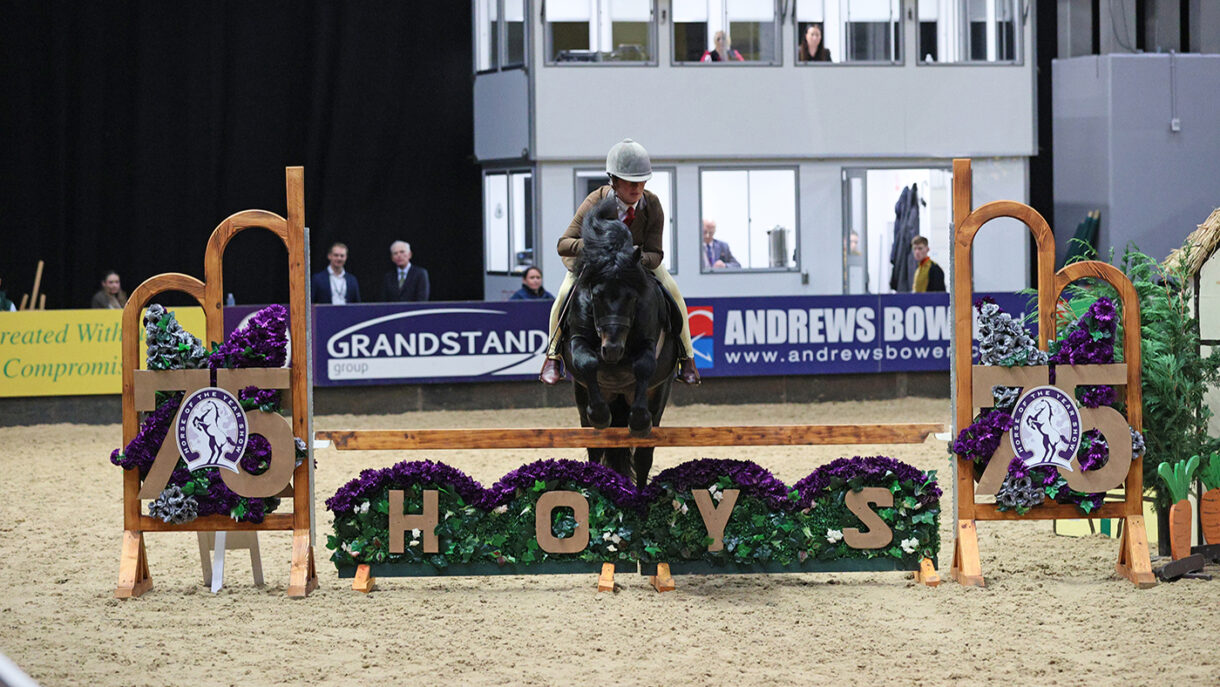 2024 HOYS 122cm M&M working hunter winner - Horse & Hound