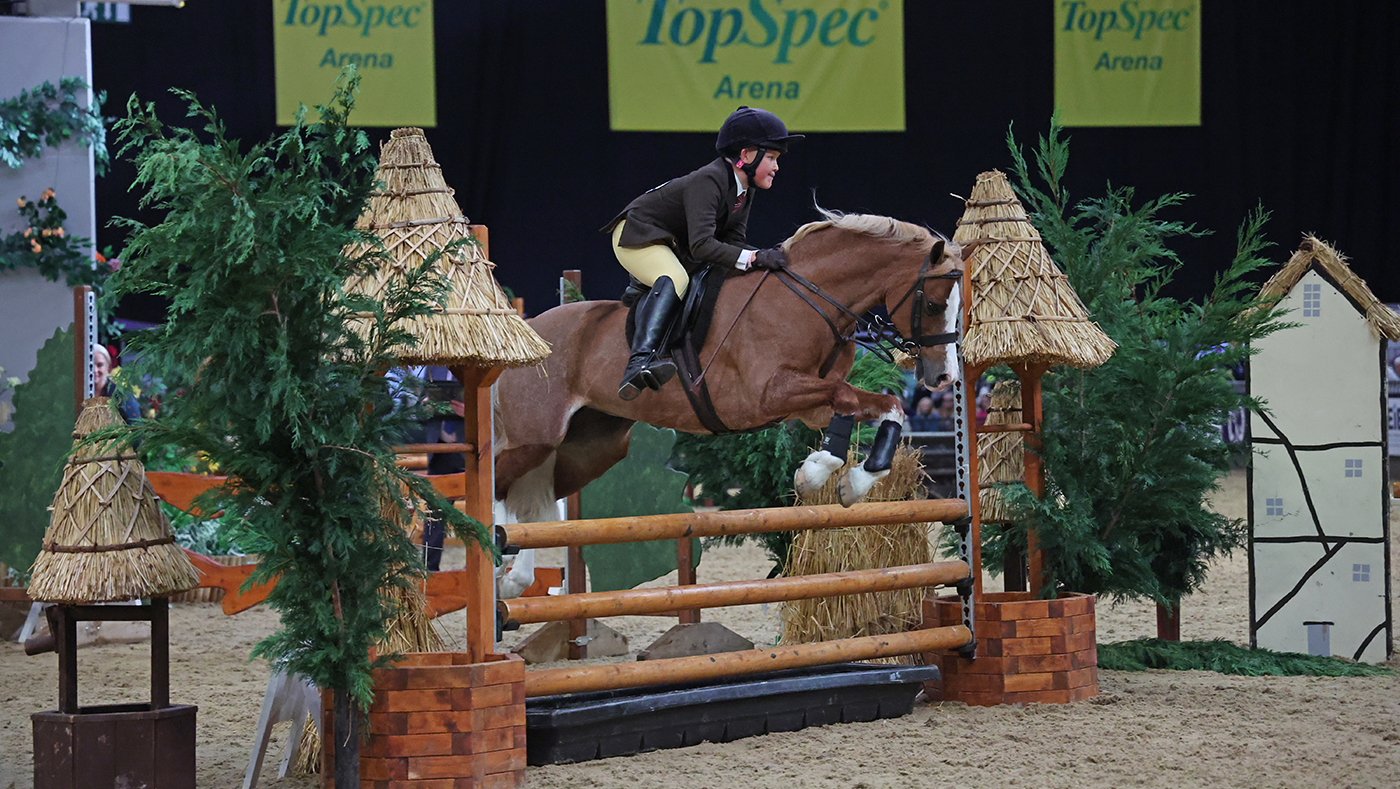 2024 HOYS 133cm M&M working hunter pony winner - Horse & Hound