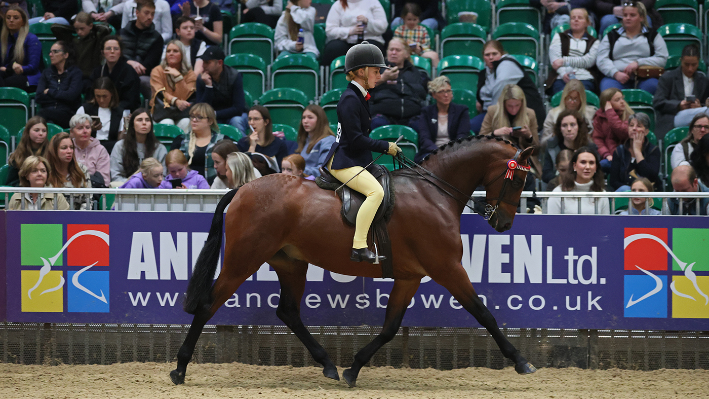 HOYS 2024 part-bred pony of the year winner - Horse & Hound