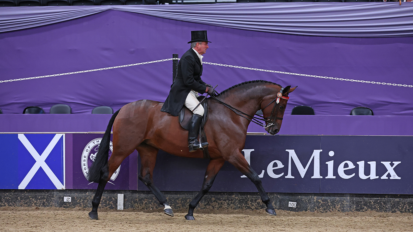 2024 HOYS riding horse of the year championship - Horse & Hound