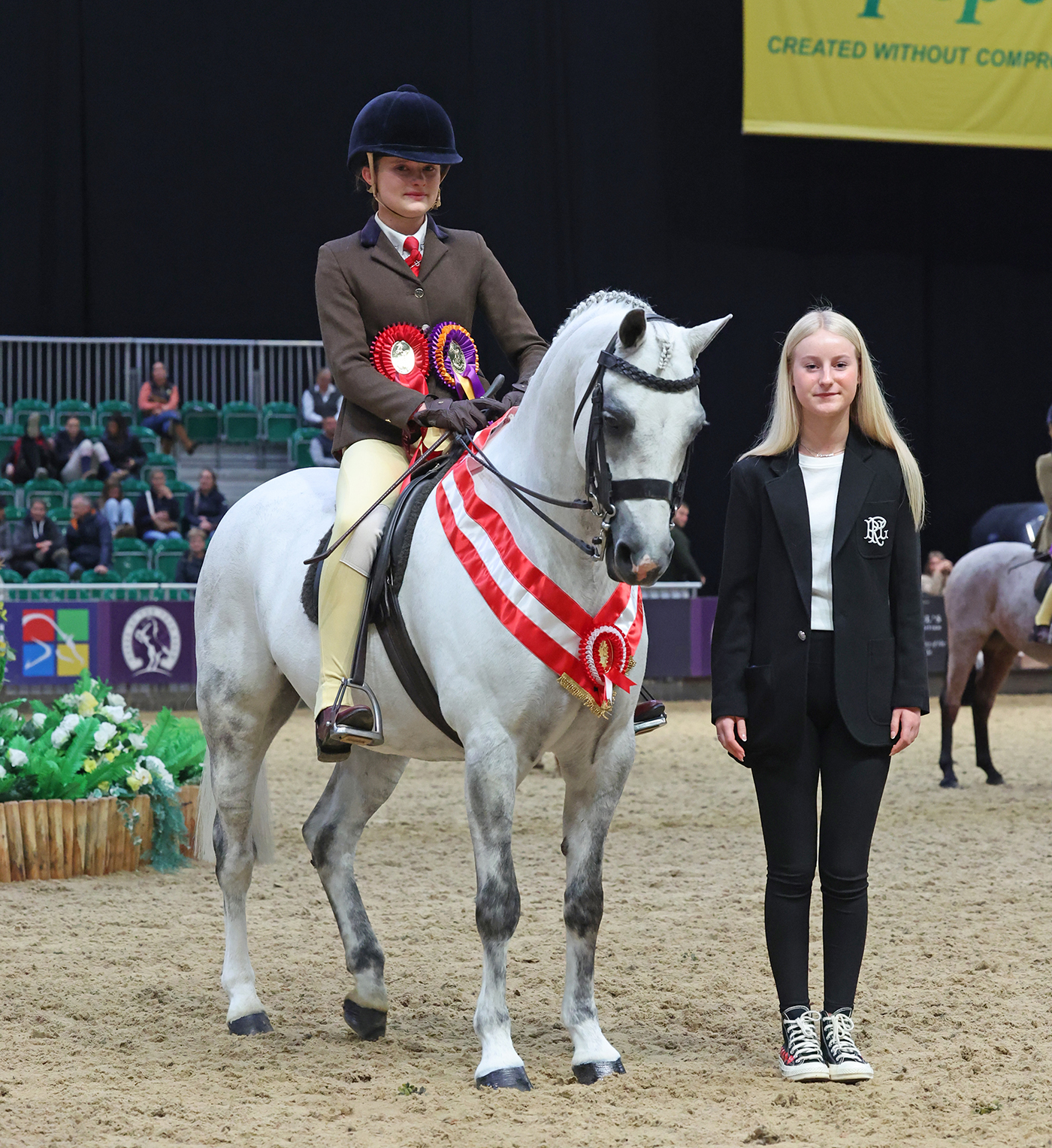 HOYS 2024 show hunter pony of the year champion - Horse & Hound