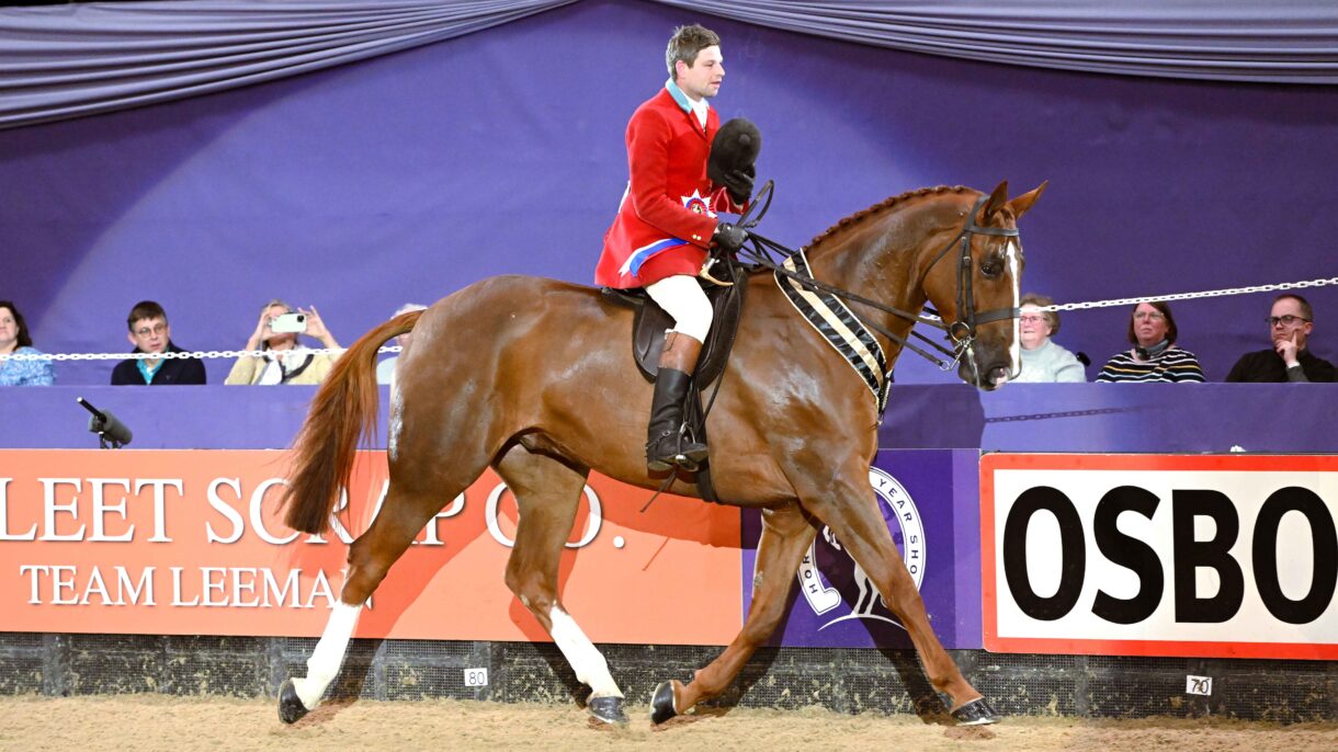 Broken stirrup at HOYS signals early bath for working hunter pony pair