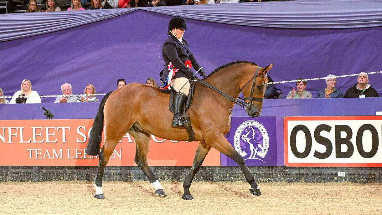 SEIB - Horse & Hound