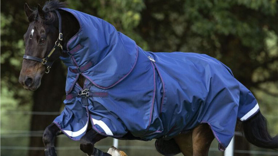 Best rain sheets for horses to protect from showers | Horse & Hound