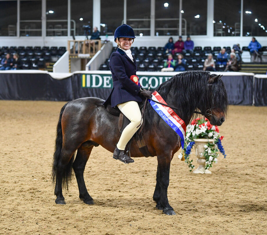Meet the 2024 BSPS Heritage Championships winners | Horse & Hound