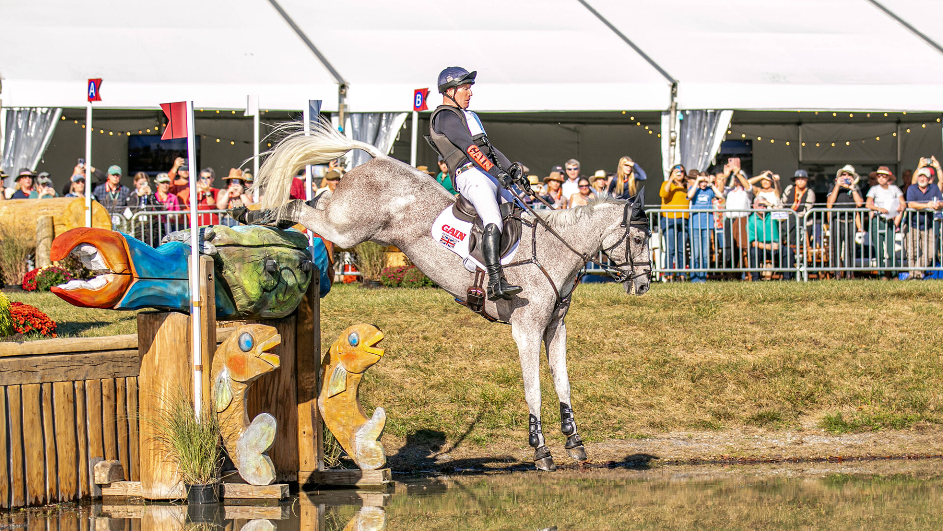 How to watch Maryland 5 Star live from anywhere in the world