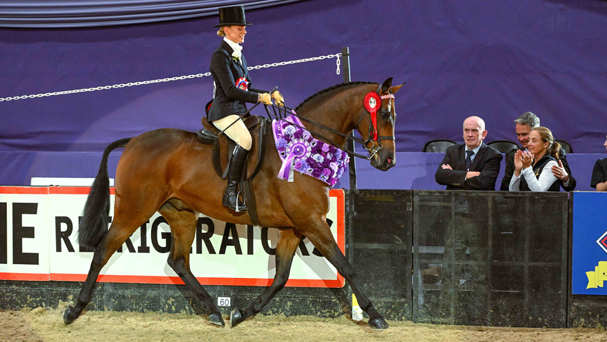 2024 HOYS hack of the year championship winner - Horse & Hound