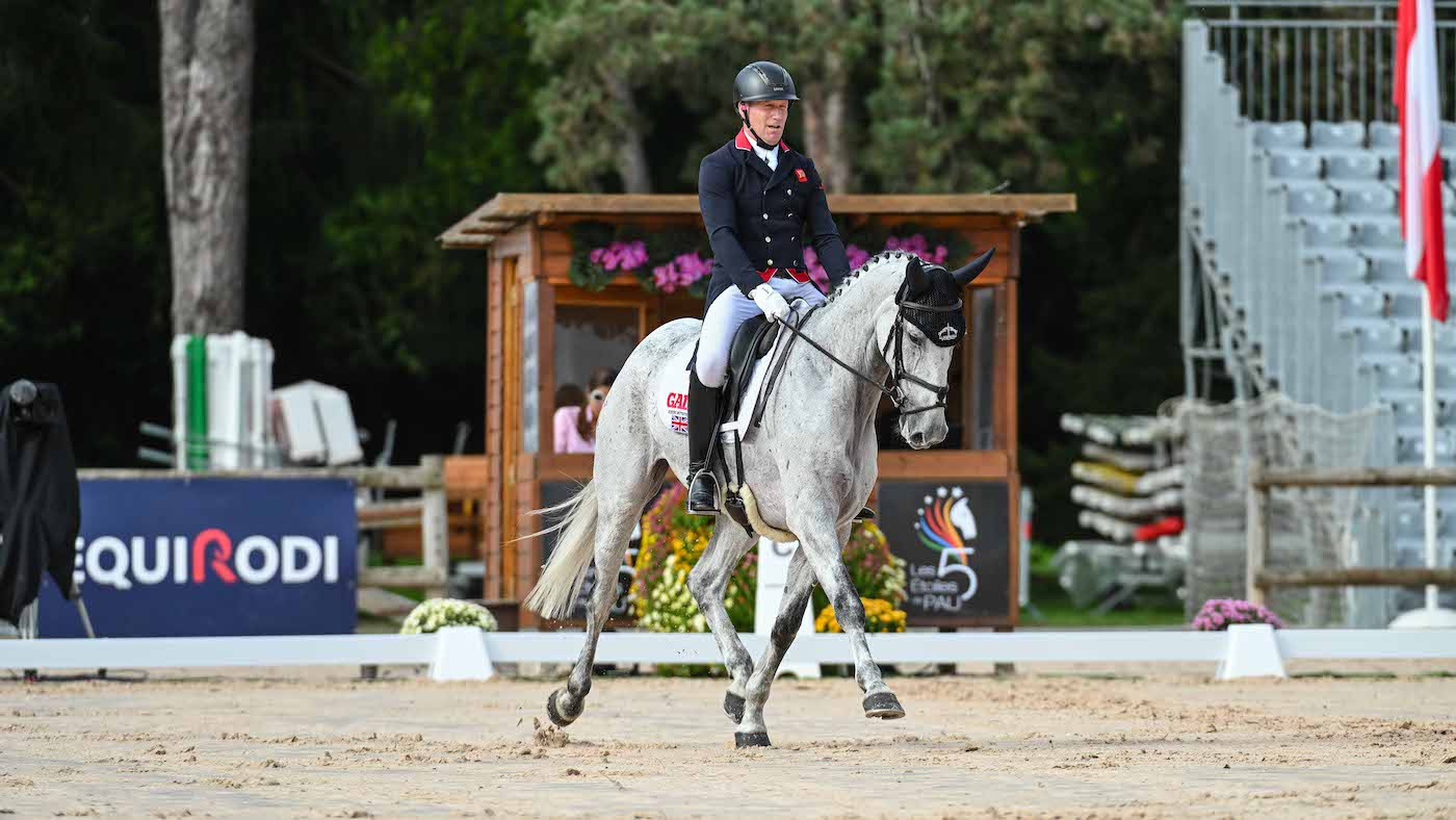 Oliver Townend’s latest five-star grey impresses at Pau Horse Trials