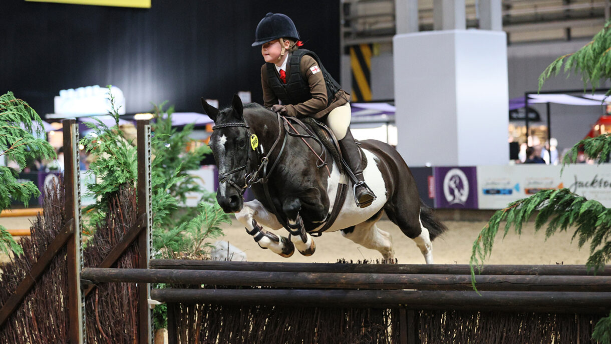 Check out the 2025 HOYS judges for the light horse classes