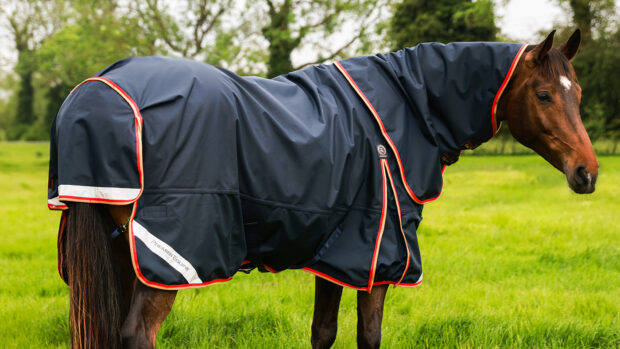 Best rain sheets for horses to protect from showers | Horse & Hound