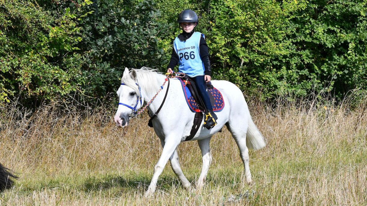 ‘He’s a bit famous’ – rescue pony steps in to help young rider take ...
