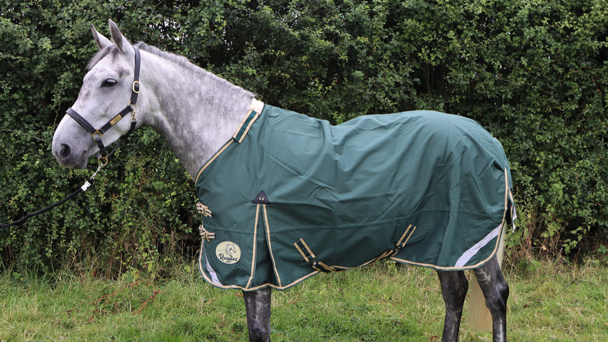 Best rain sheets for horses to protect from showers | Horse & Hound