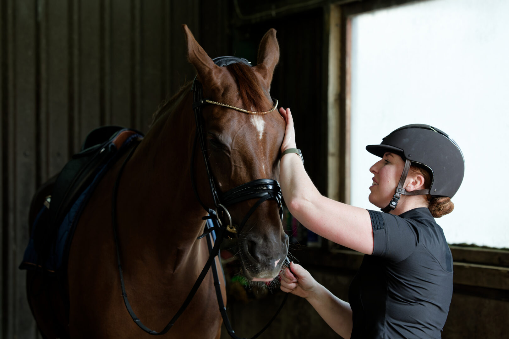 Operant conditioning for horses uses rewards and consequences