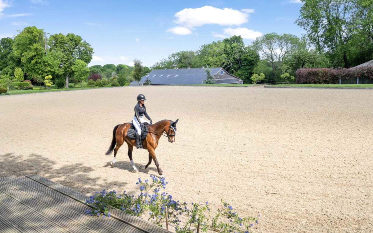 Wow! Check out this beautiful home with amazing equestrian facilities ...