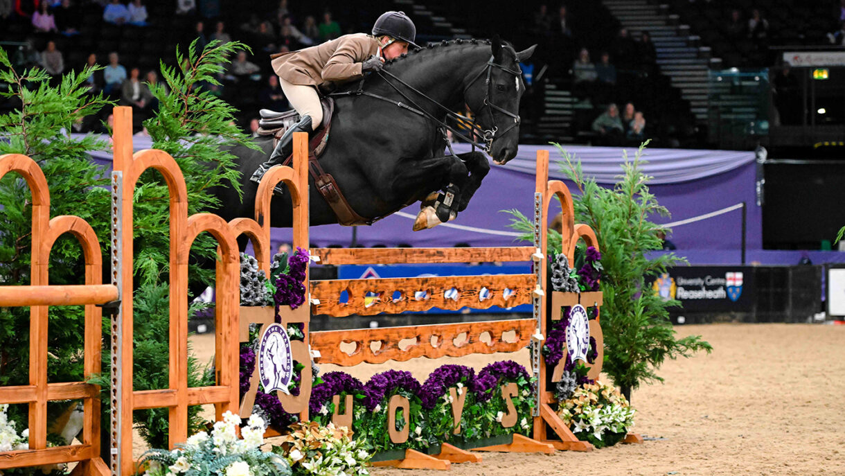 2024 HOYS working hunter of the year winner - Horse & Hound