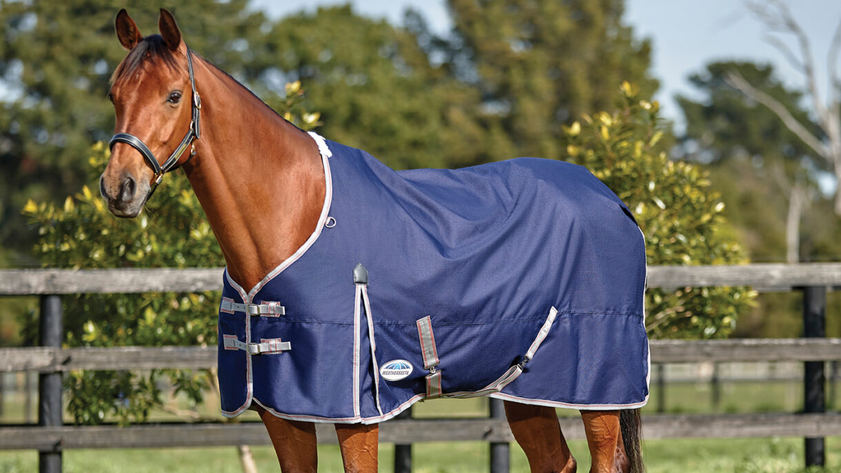 Best rain sheets for horses to protect from showers | Horse & Hound