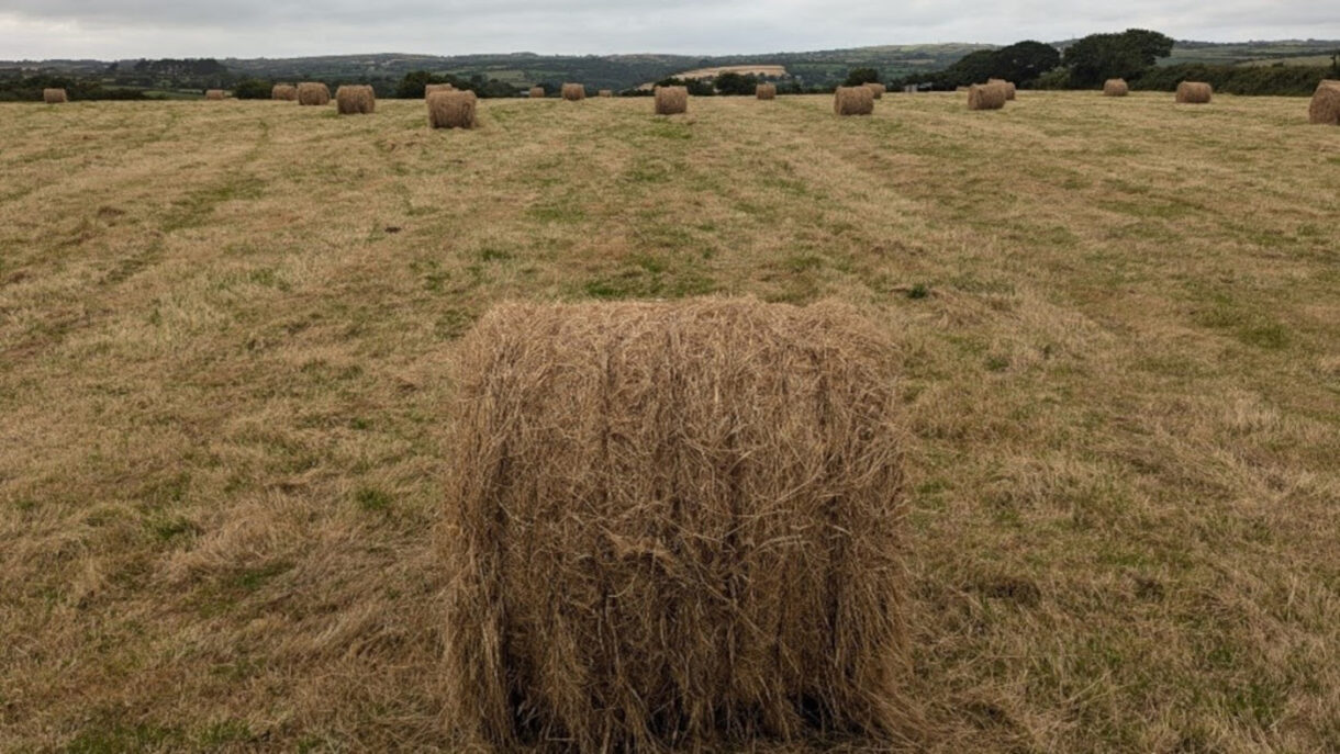 ‘It’s a win for us and the environment’: biodegradable wrap for hay ...