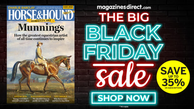 The Chifney bit: how to use it correctly | Horse & Hound