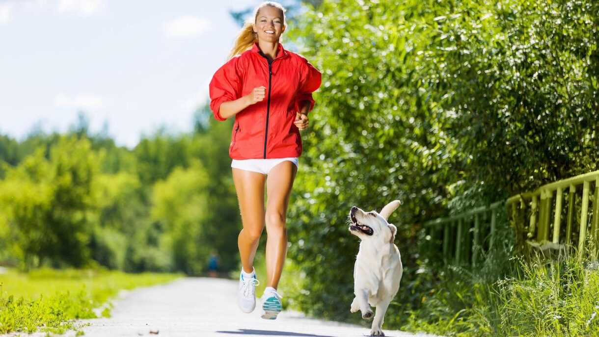 Dog breeds for running: fast, fun and friendly - Horse & Hound