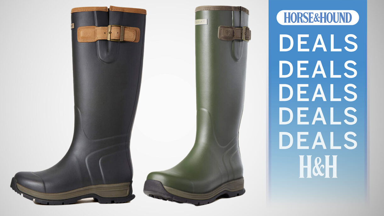 Save 50% on a pair of Ariat Burford wellies right now | Horse & Hound