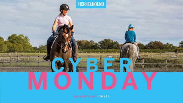 Best cameras for horse riding to capture video | Horse & Hound