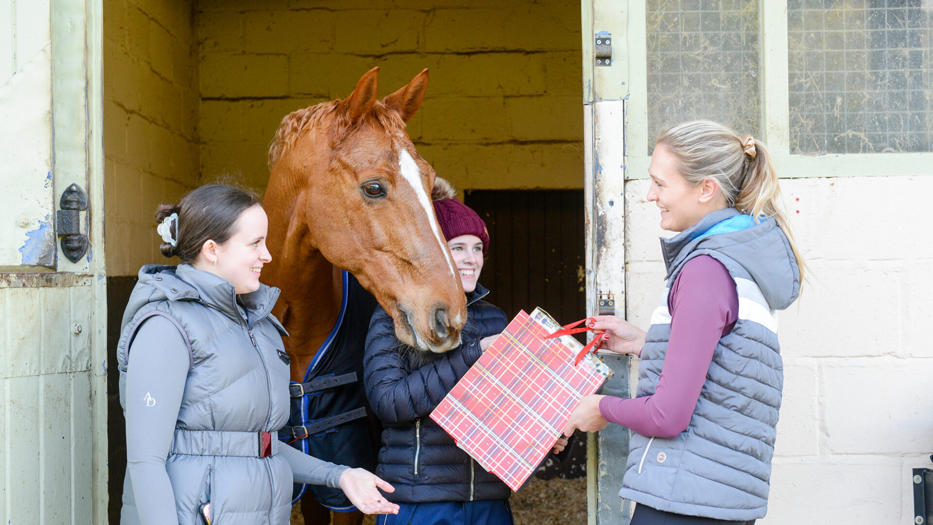 Check out the official 2026 Badminton Horse Trials merchandise