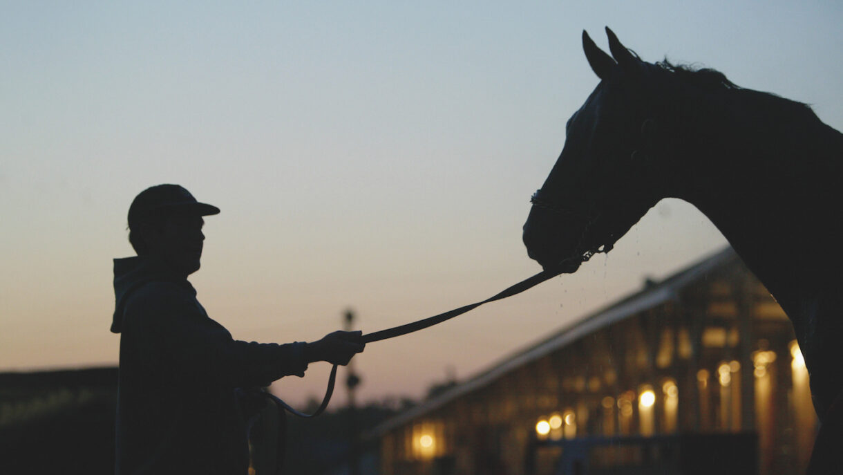 Targeted research projects and Olympic news at FEI General Assembly