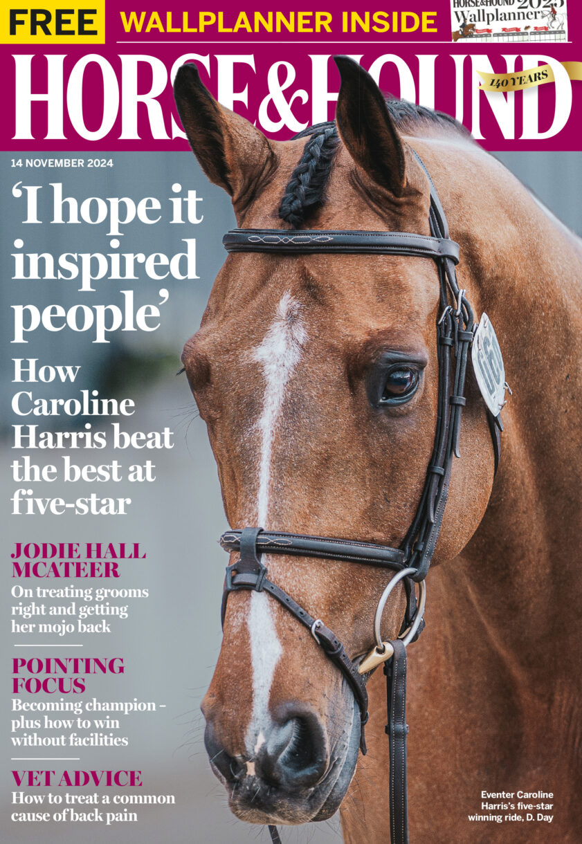What's inside Horse & Hound magazine, on sale Thursday 14 November