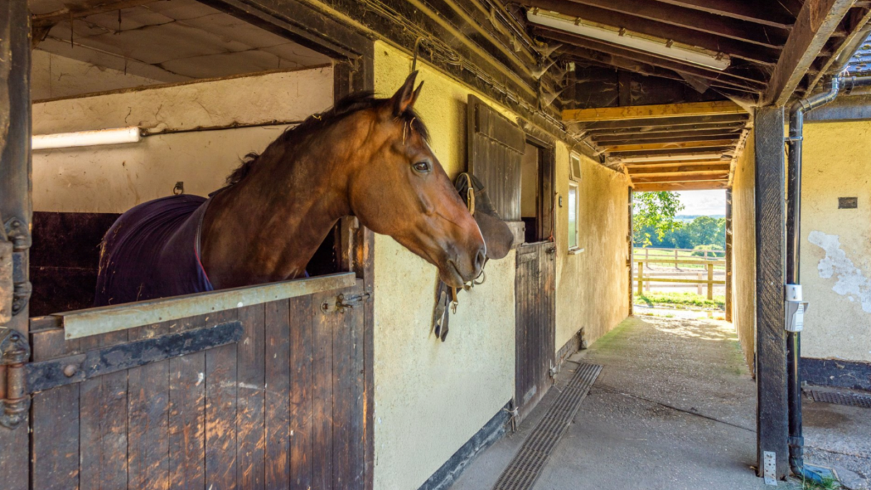 Horsey home with mega facilities – including gallops! | Horse & Hound